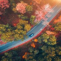 5 More of the Best Road Trips for Fall | DMV.ORG